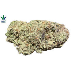 BC Bud Express | Buy Cannabis & Shrooms Online in Canada - Fungimaps